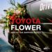 渋谷、福岡、名古屋で開催し、大盛況に終わったフラワーイベント「TOYOTA FLOWER」が札幌に初上陸！サッポロファクトリーにて10月7日 ...