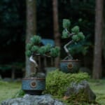 札幌PARCOカルチャーイベント「MADAMADA」が10月5日より開催決定！ | 札幌速報